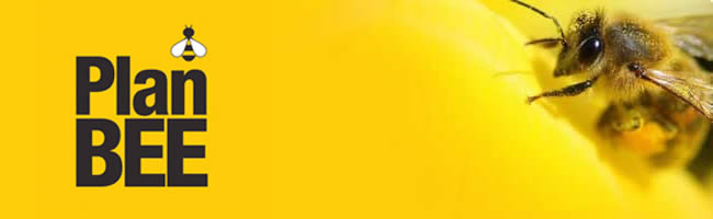 Plano “Bee”: salvem as abelhas | Super