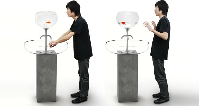 Pobre peixe: nível de água do aquário diminui quando usuário lava as ...