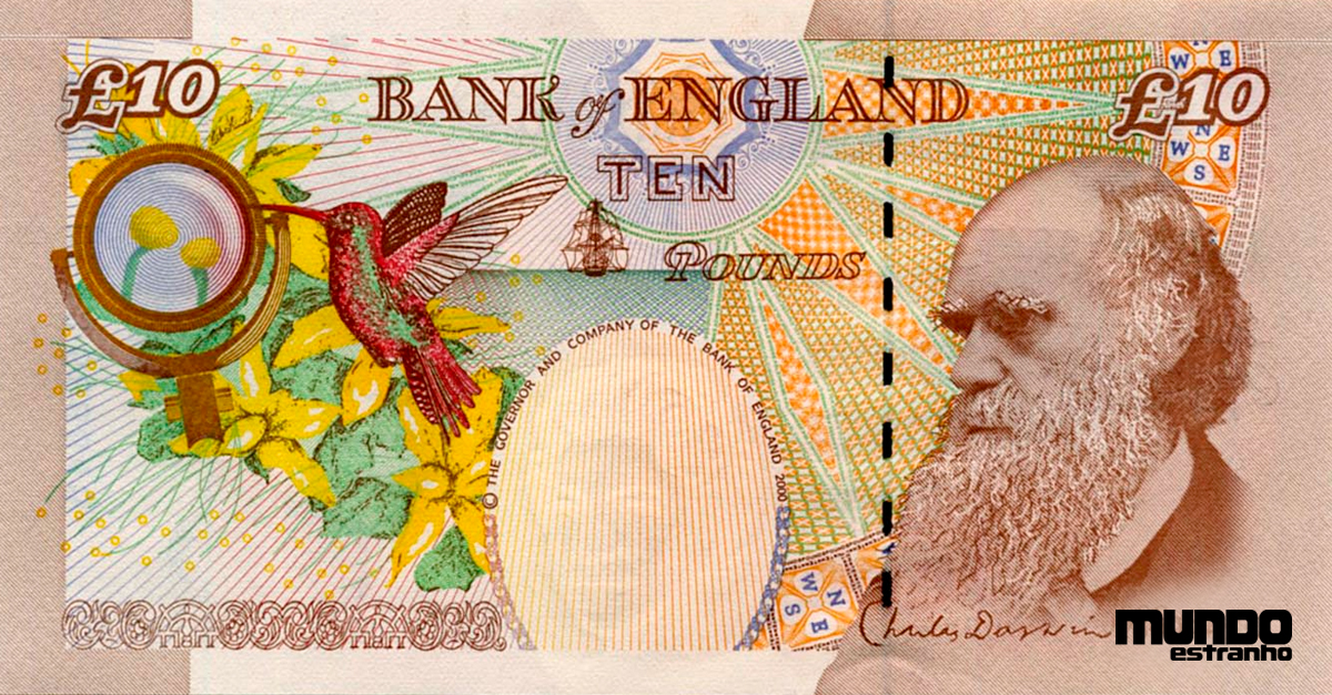 Que figuras históricas aparecem nas notas de libra esterlina? | Super