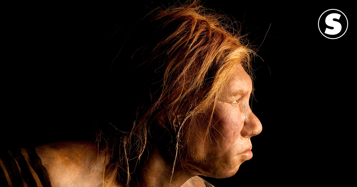 Neandertais também tinham diferentes tipos sanguíneos, sugere estudo ... Neandertais também tinham diferentes tipos sanguíneos, sugere estudo ...