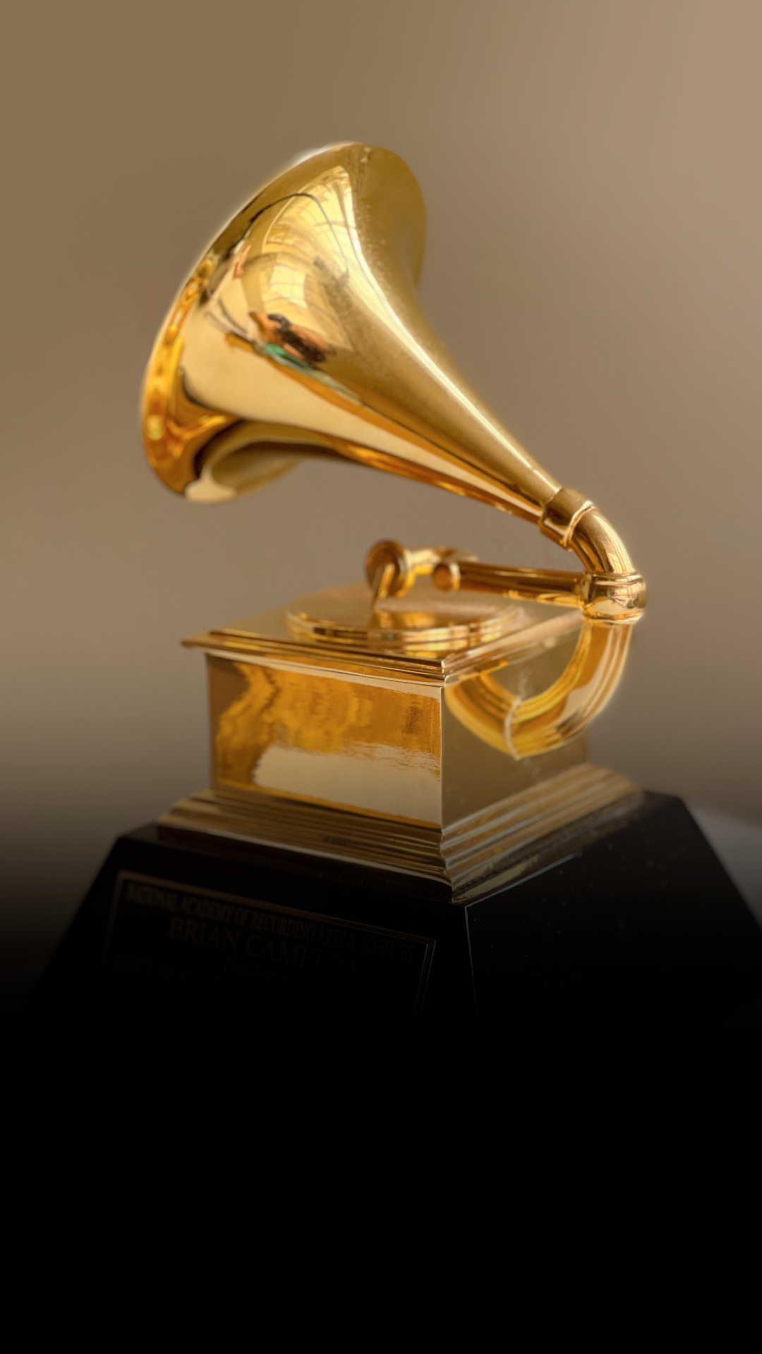 5 categorias do Grammy que você não conhece